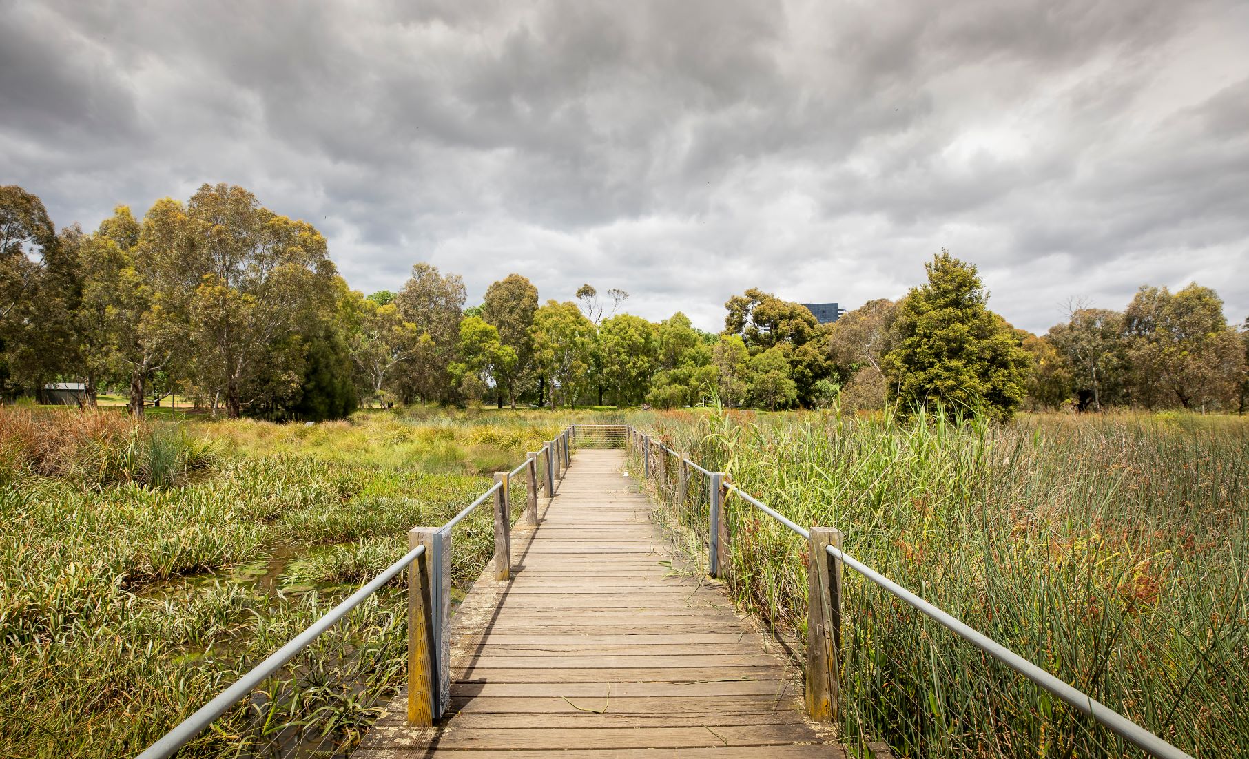 Trin Warren Tam-boore wetland and stormwater harvesting system | City of Melbourne